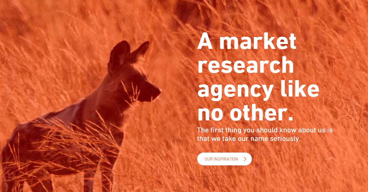 Leading Market Research Company - Painted Dog Research