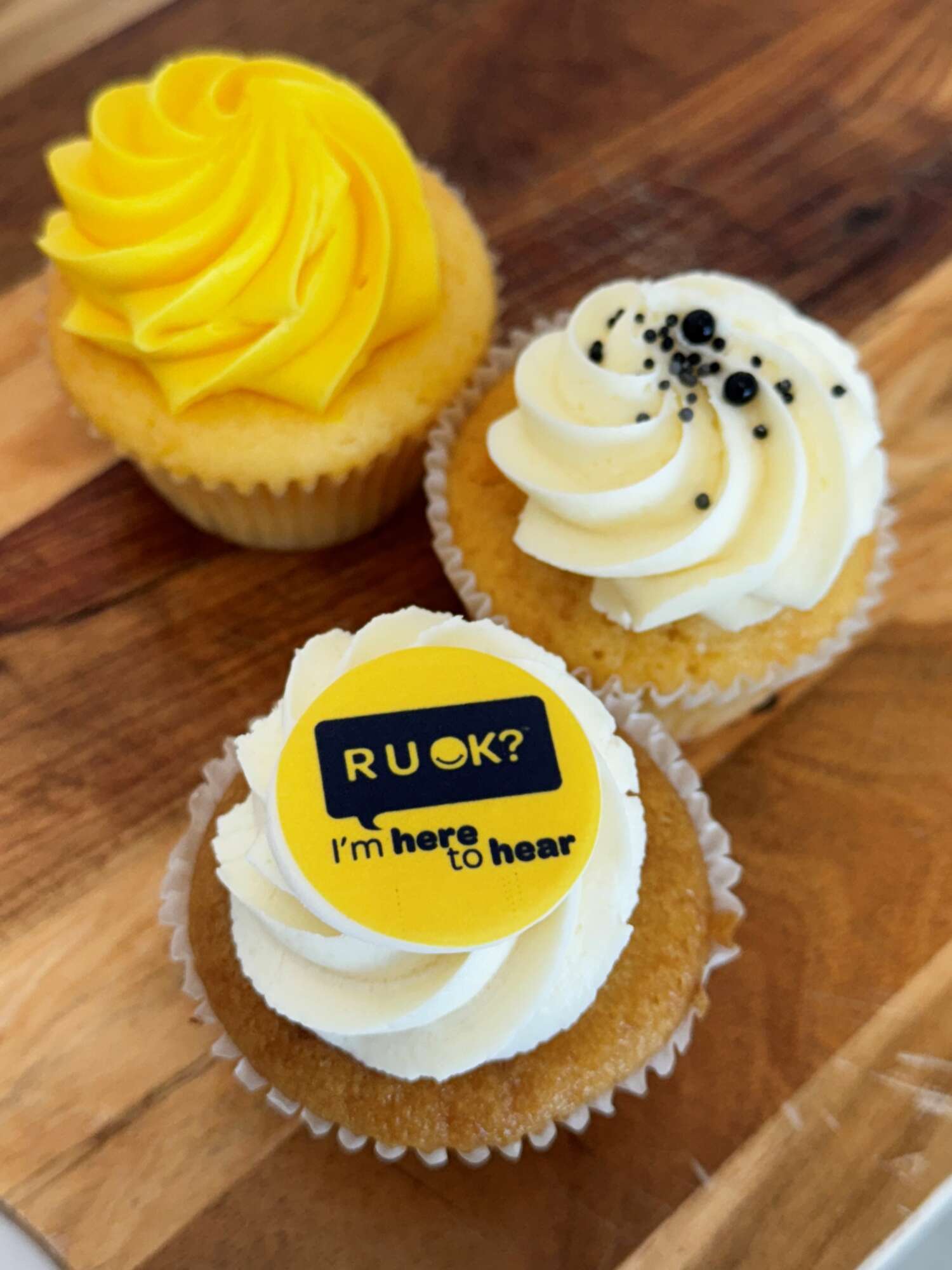 RUOK Day • Painted Dog Research